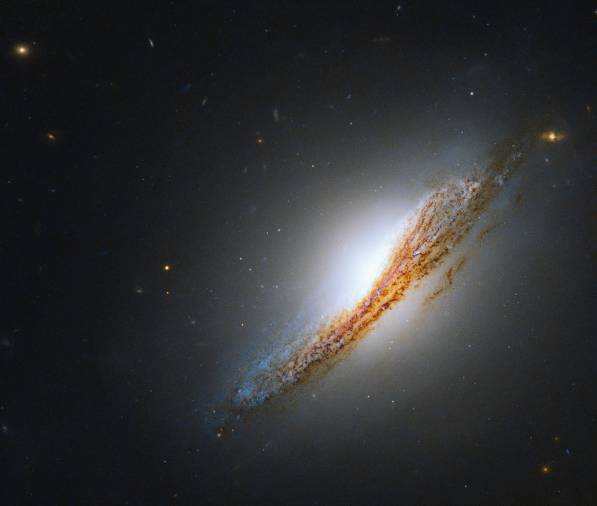 These 6 new images from the Hubble telescope shed light on distant ...