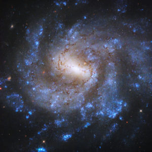 These 6 new images from the Hubble telescope shed light on distant ...