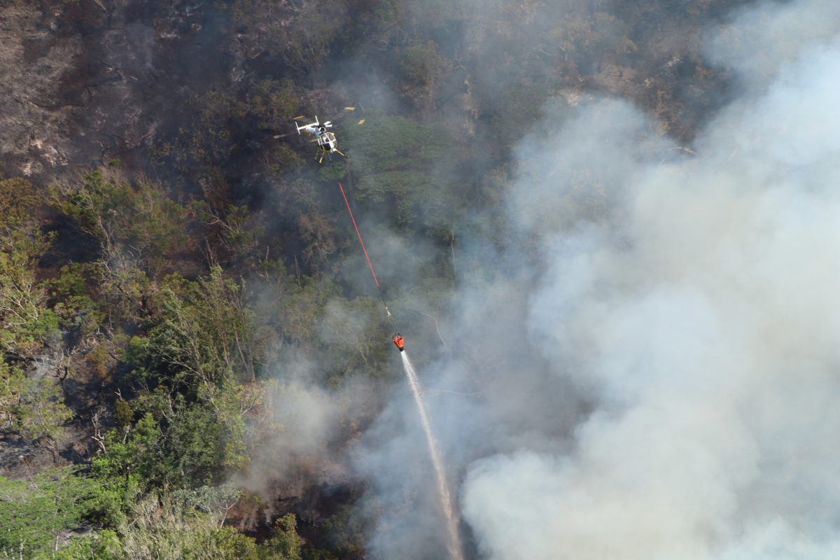 A wildfire in Hawaii has burned native rainforest on Oahu, raising ...