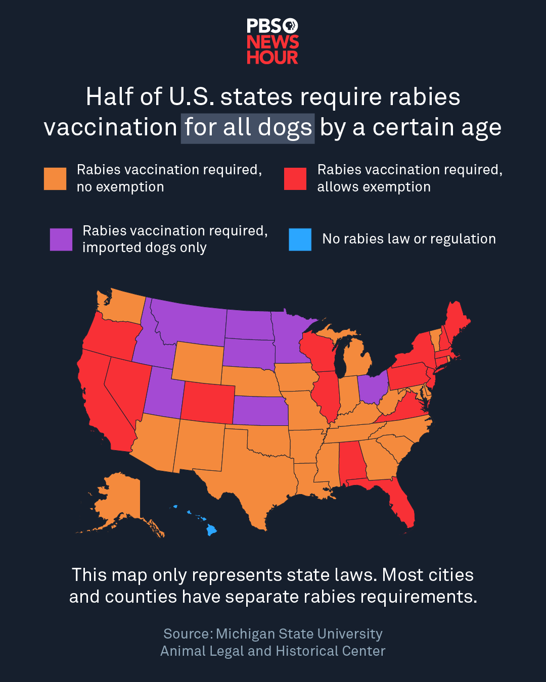 Why experts worry more pet owners may skip rabies shots over vaccine ...