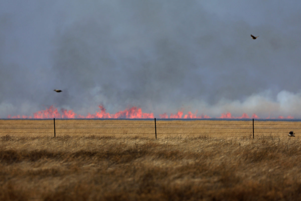 Strong winds threaten to further spread record-breaking Texas wildfires | PBS News