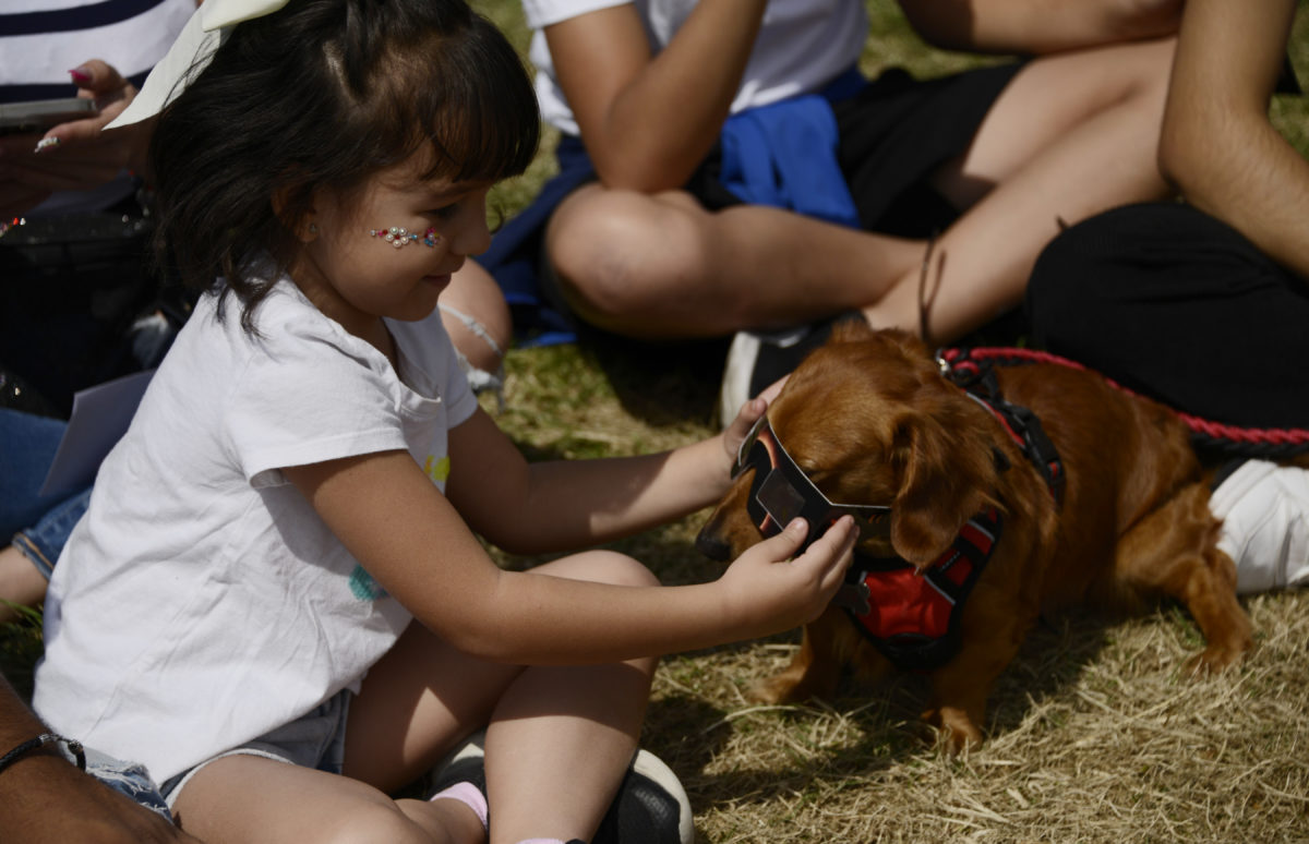 Researchers to observe how total solar eclipse affects animal behavior ...