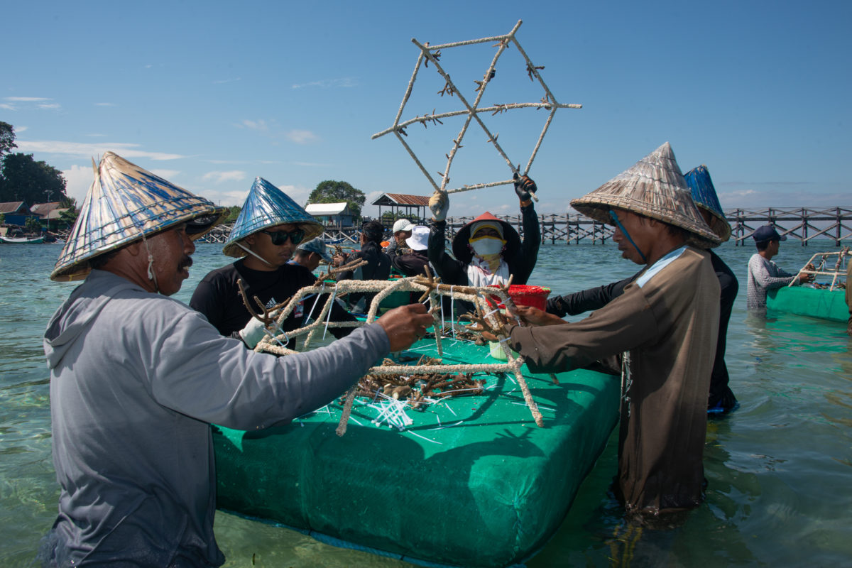 These coral reefs suffered major damage. Watch how restoration efforts ...