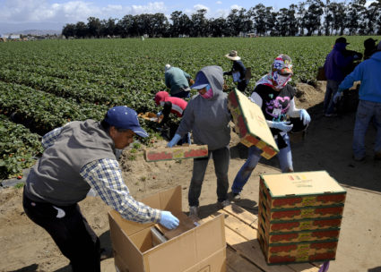 How migrant workers have contributed to strong U.S. job growth | PBS News