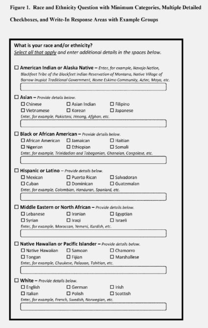 Michigan lawmakers are considering a state-level MENA category. Here’s what that would mean ...