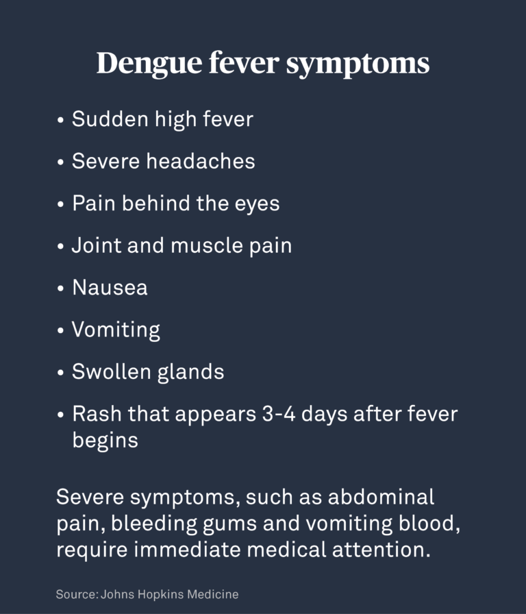 What you need to know about the latest outbreak of dengue fever | PBS News