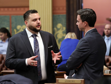 Michigan lawmakers are considering a state-level MENA category. Here's ...