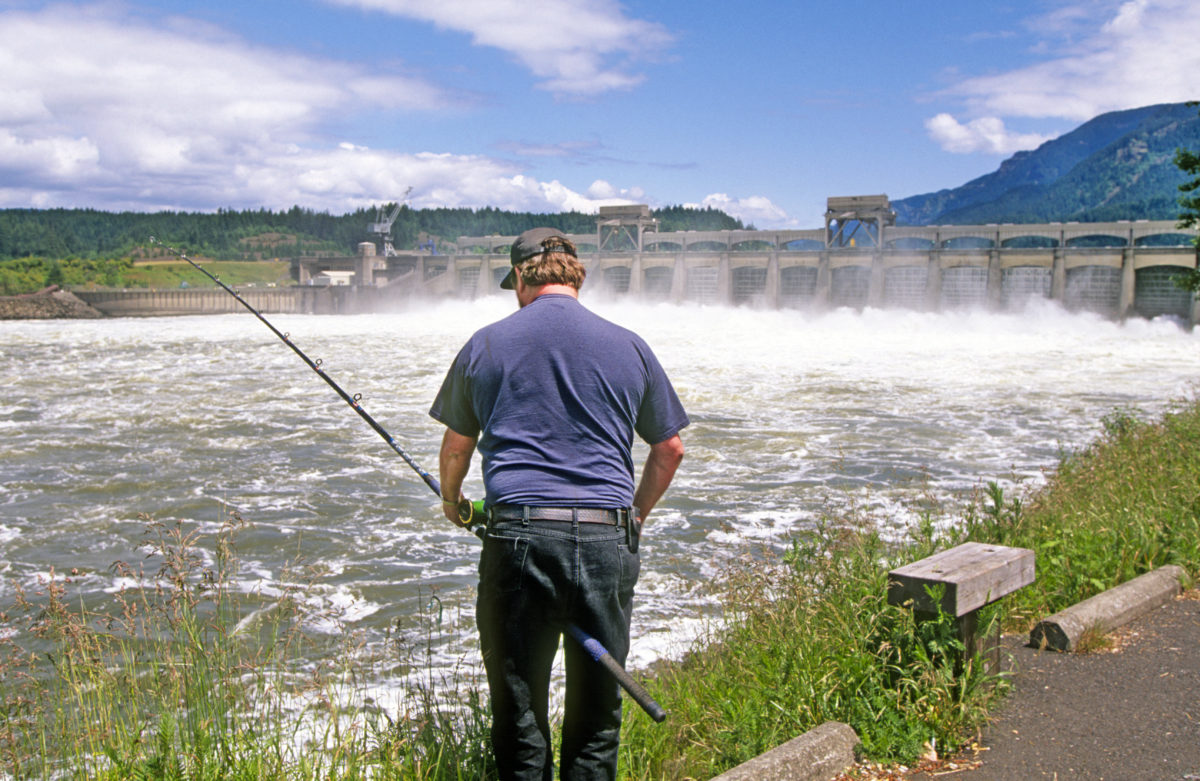 Northwest dams have devastated the region’s Native tribes, U.S ...