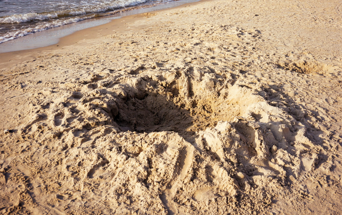 Digging in the sand can be deadly. No, really | PBS News