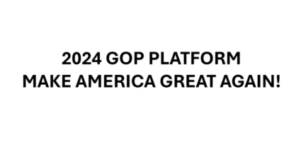 What is a party platform? Here’s how they’re made and what you should ...