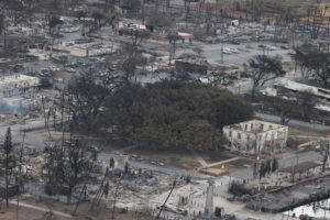 A deadly fire charred Lahaina’s historic banyan tree. A year later, it ...