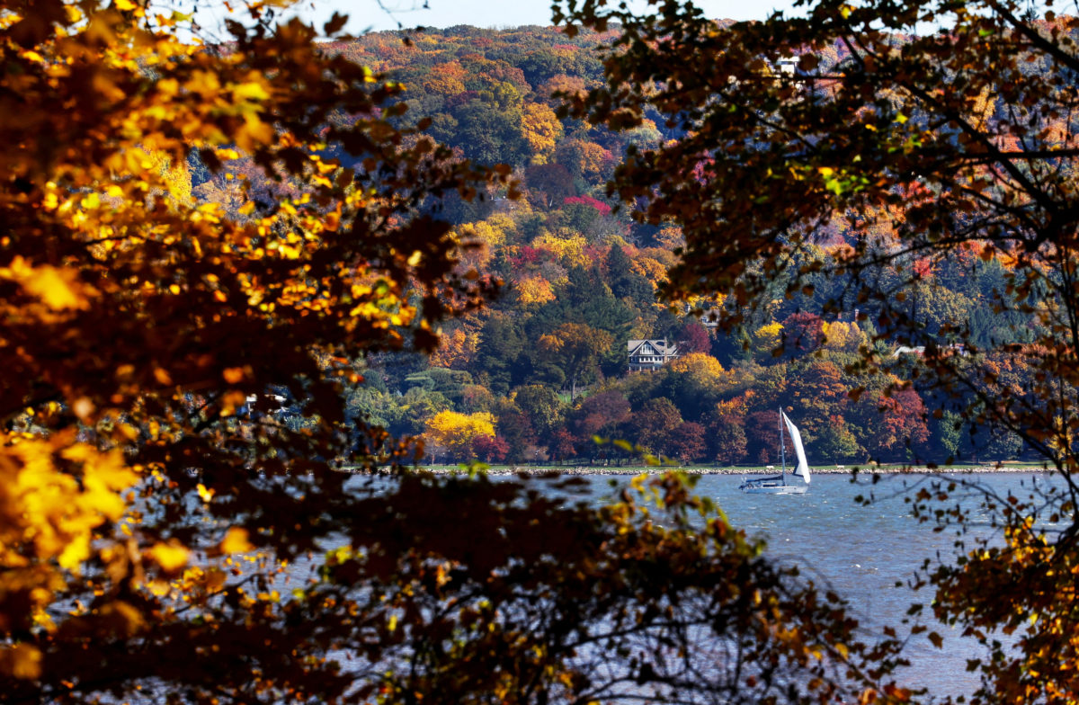 The Midwest could offer fall’s most electric foliage for leaf peepers ...