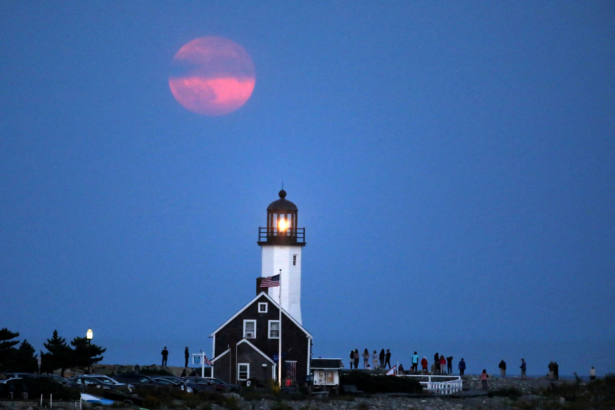 Catch the supermoon lunar eclipse? Here’s what you saw | PBS News