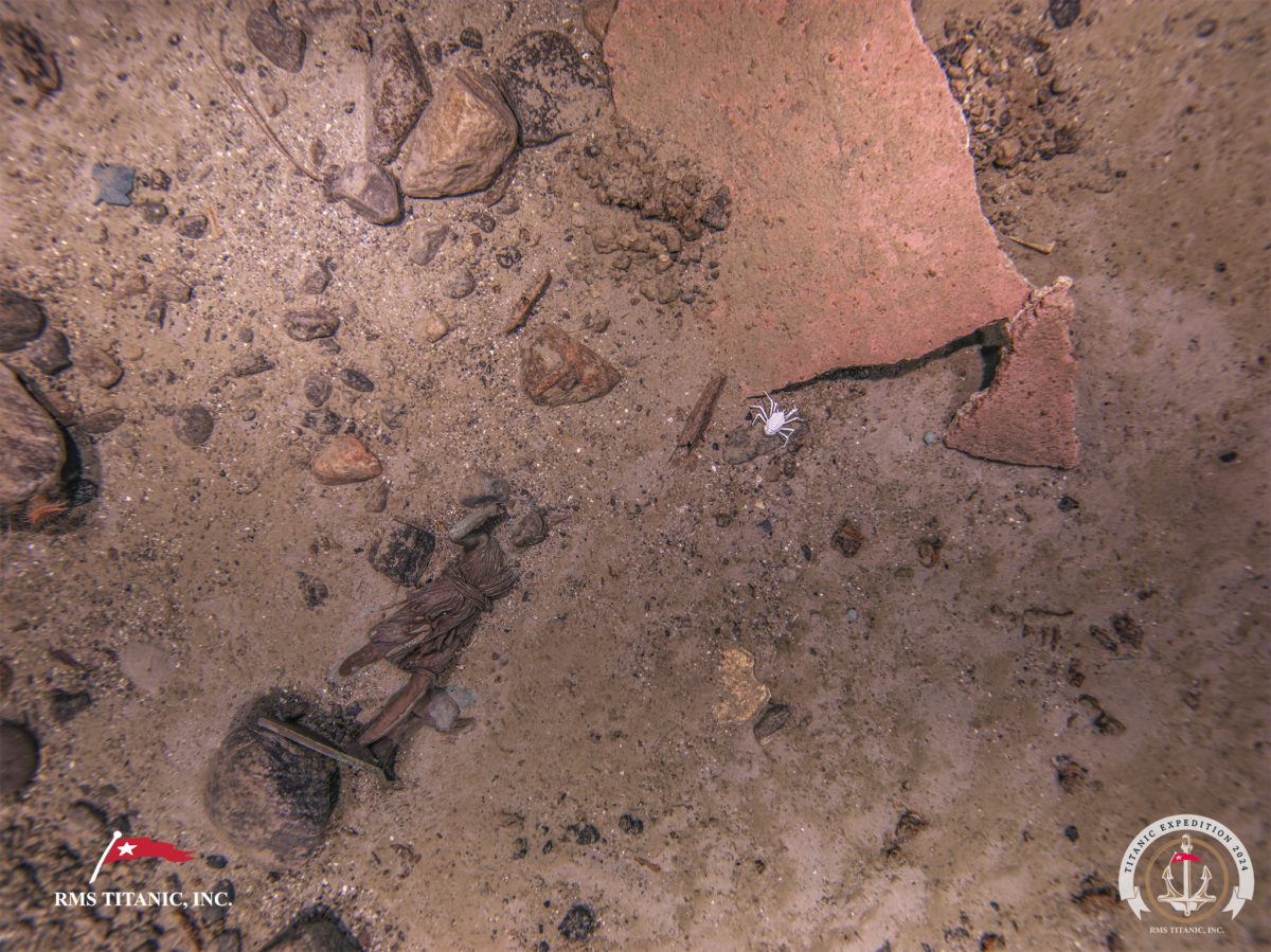 Bronze statue discovered at Titanic wreck site after first expedition ...