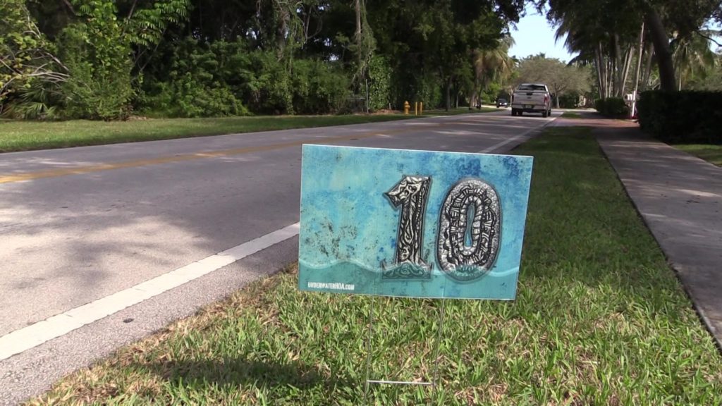 Miami art project puts spotlight on threat of rising sea levels | PBS News