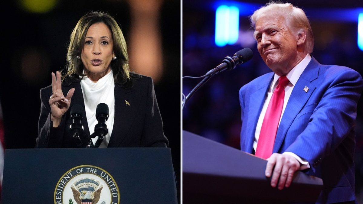 Closing arguments by Trump and Harris underscore stark election choice ...