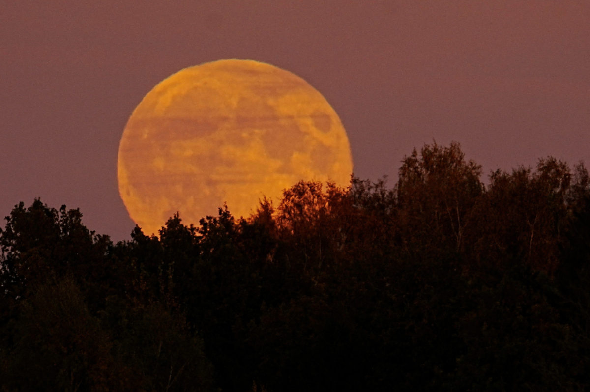The last supermoon of the year is coming. Here’s when to see it | PBS News