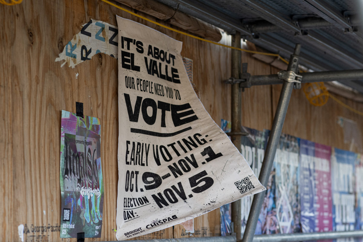 Economy ranked as a top issue, but concerns over democracy drove many ...