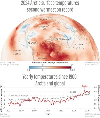 The Arctic has seen worrying, rapid changes in just a couple of decades ...