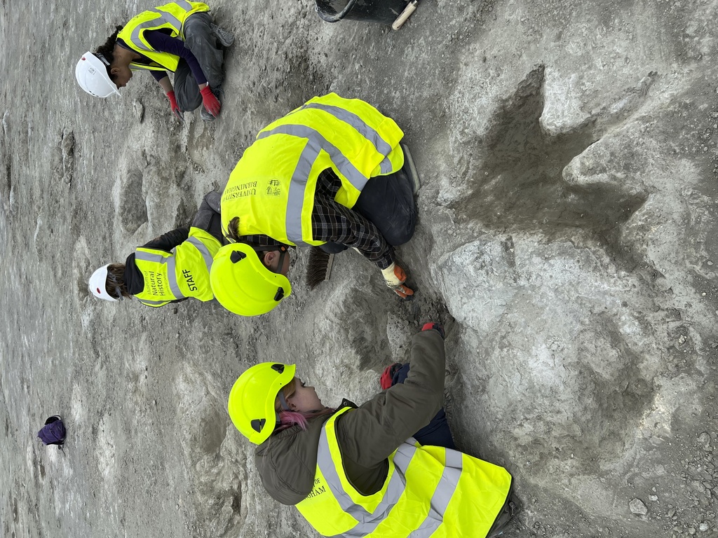 ‘Dinosaur highway’ dating back 166 million years discovered in England ...
