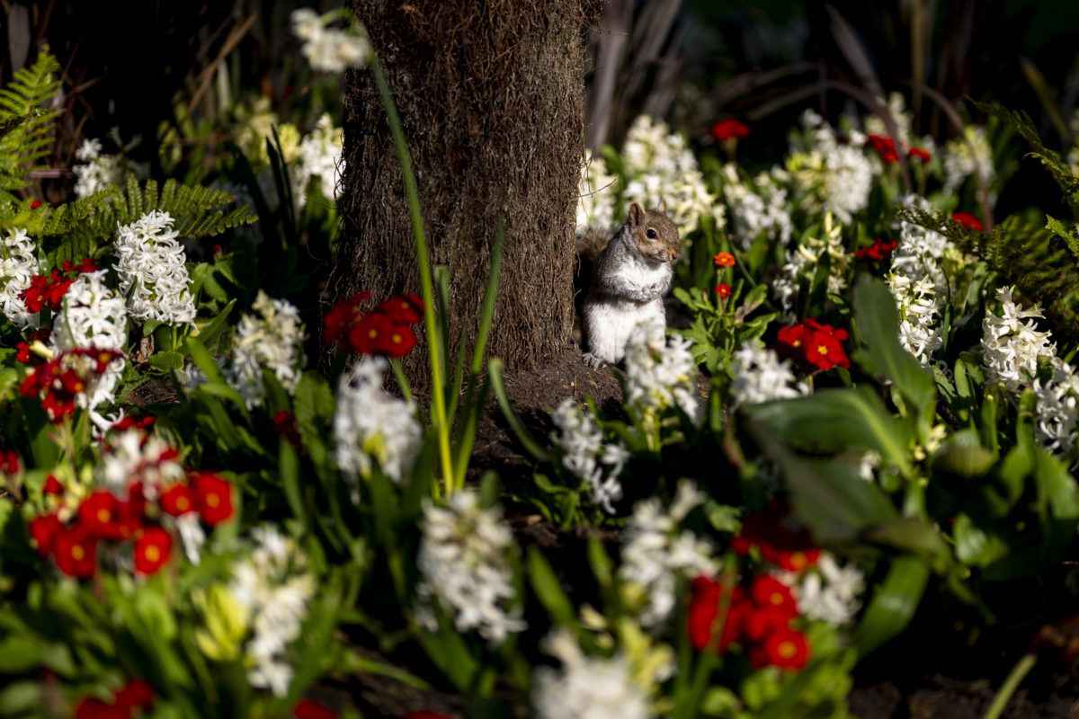 It's the spring equinox. What in the heavens is happening? | PBS News