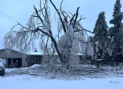 Storms in Midwest and South could unleash deadly floods, strong ...
