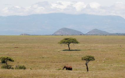 Adapting to extreme habitats set the stage for global human migration ...