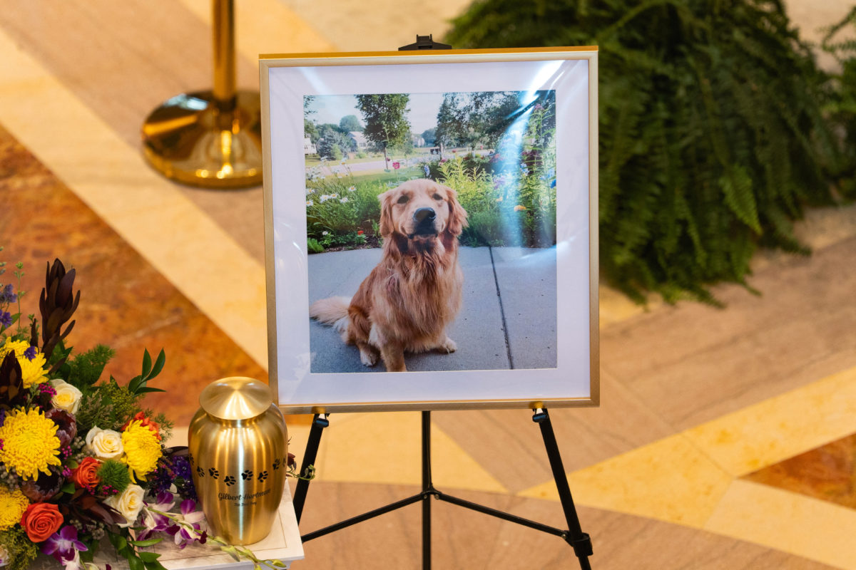 Hortmans’ beloved dog Gilbert lay in state with slain Minnesota ...