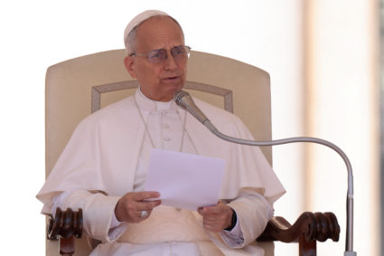 Vatican solar farm will make it the world’s first carbon-neutral state ...