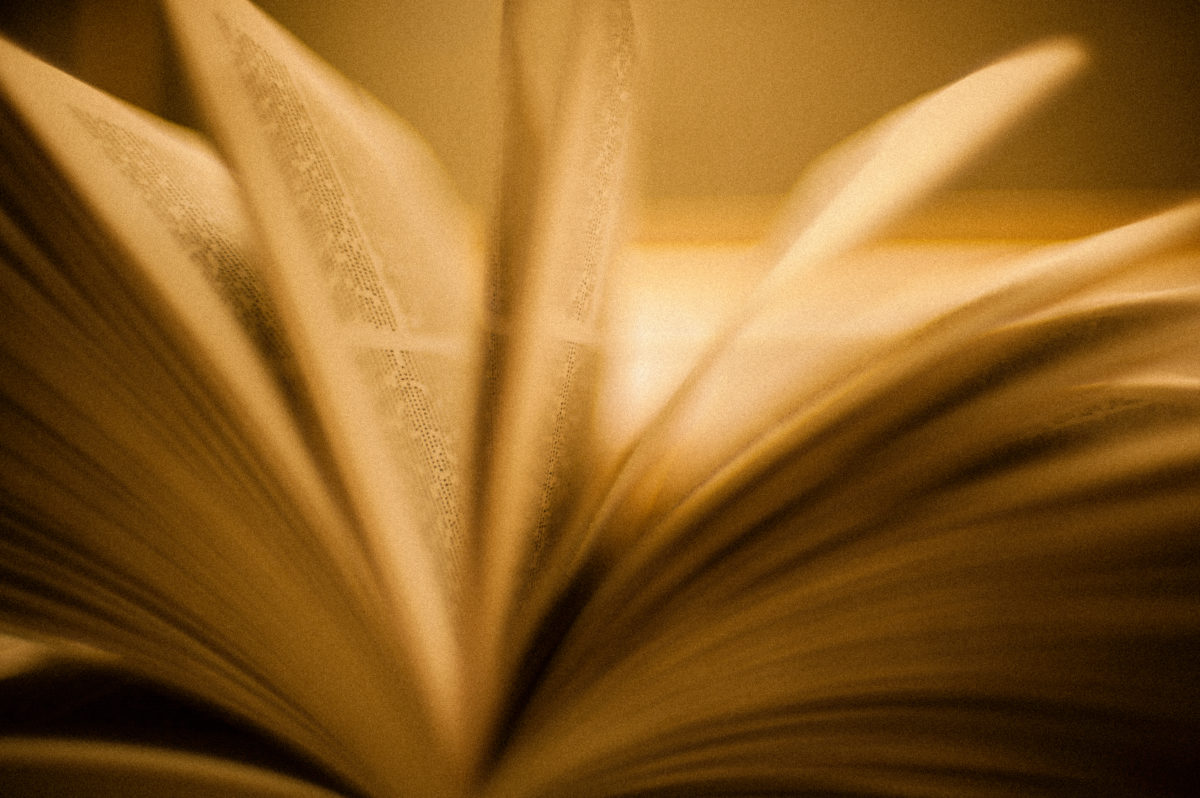 Not sure what ‘skibidi’ means? Now you can look it up in the dictionary ...